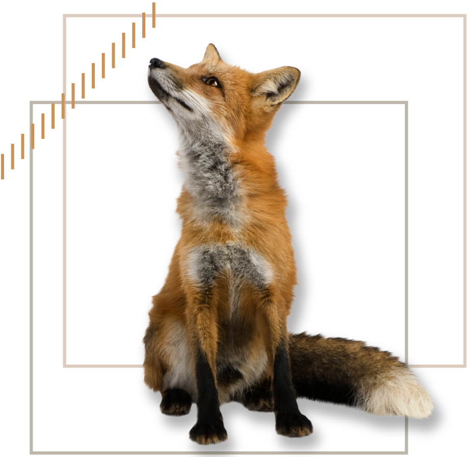 Fox And Vamp
