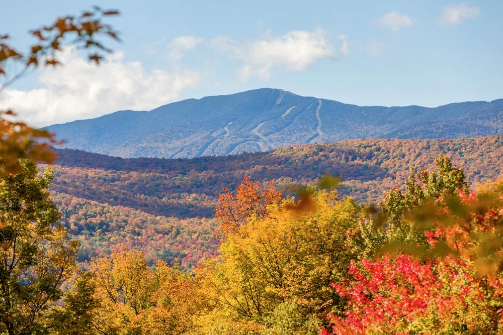 Stark Mountain Bike Works