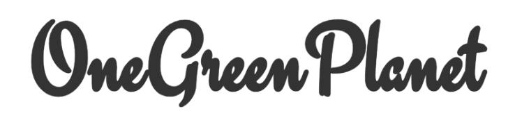 Vegan Leaders in Corporate Management