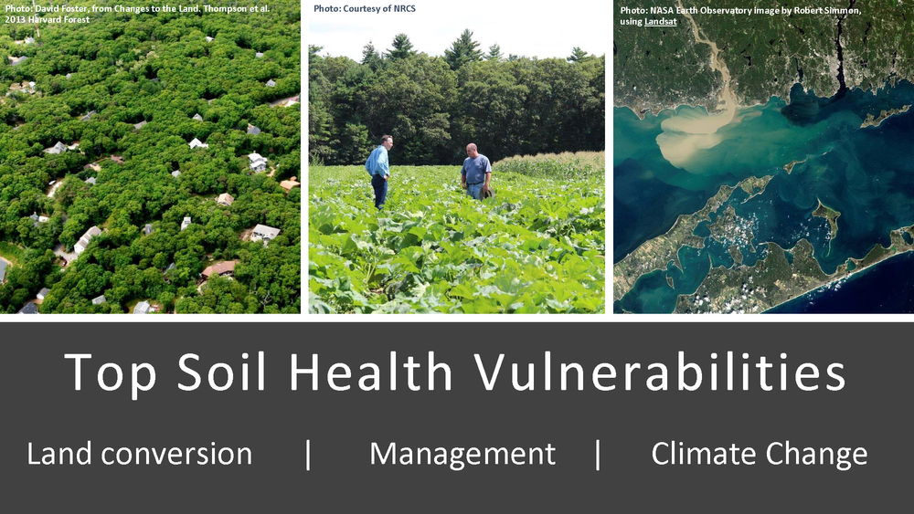 Massachusetts Healthy Soils Action Plan — BSLA