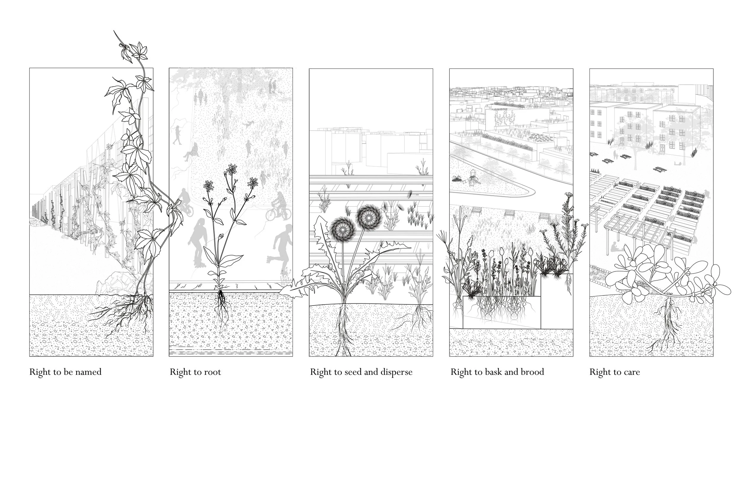 2023 Design Awards — BSLA
