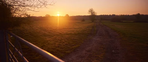 Filming — Breamore Estate