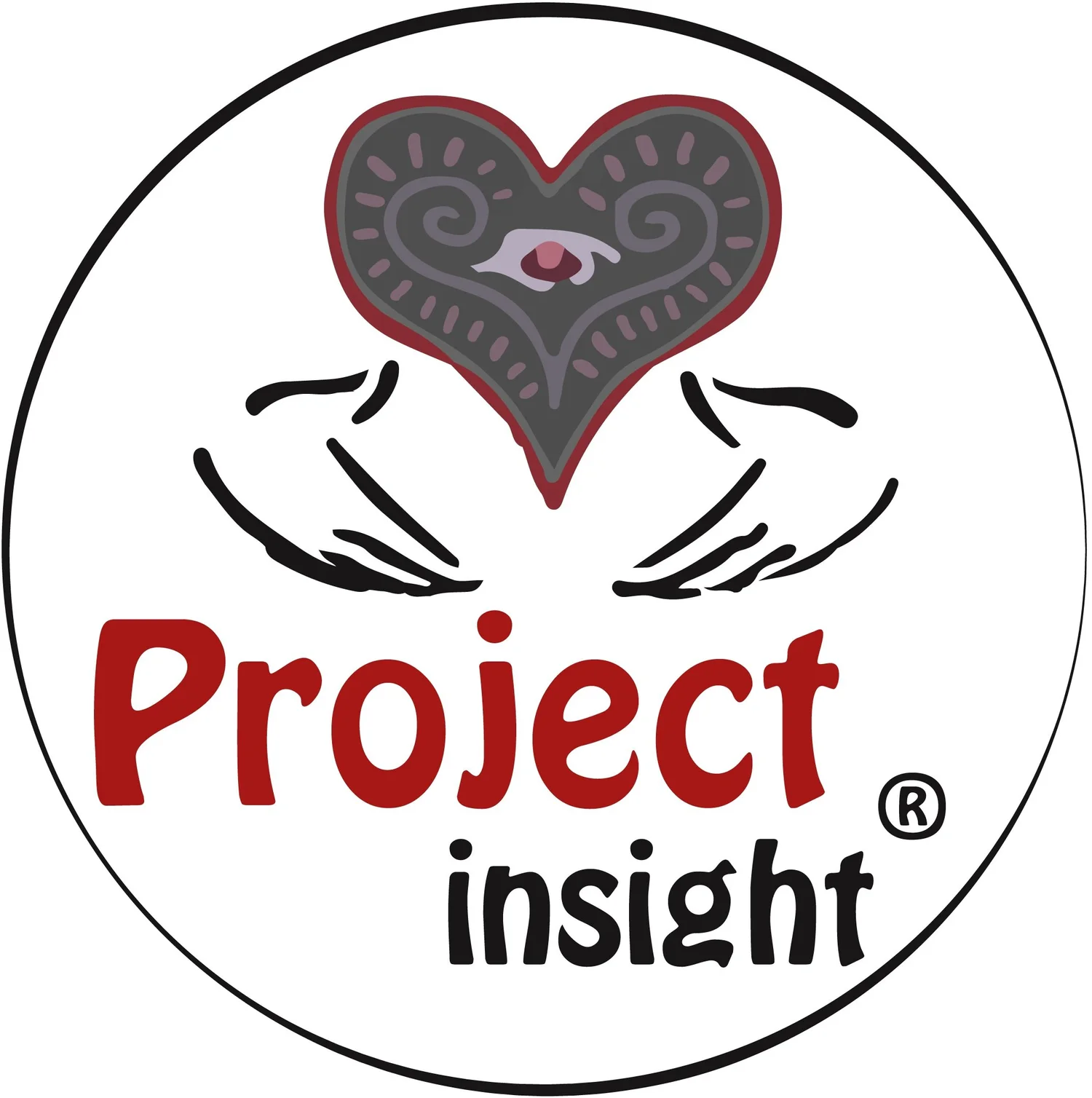 Project Insight