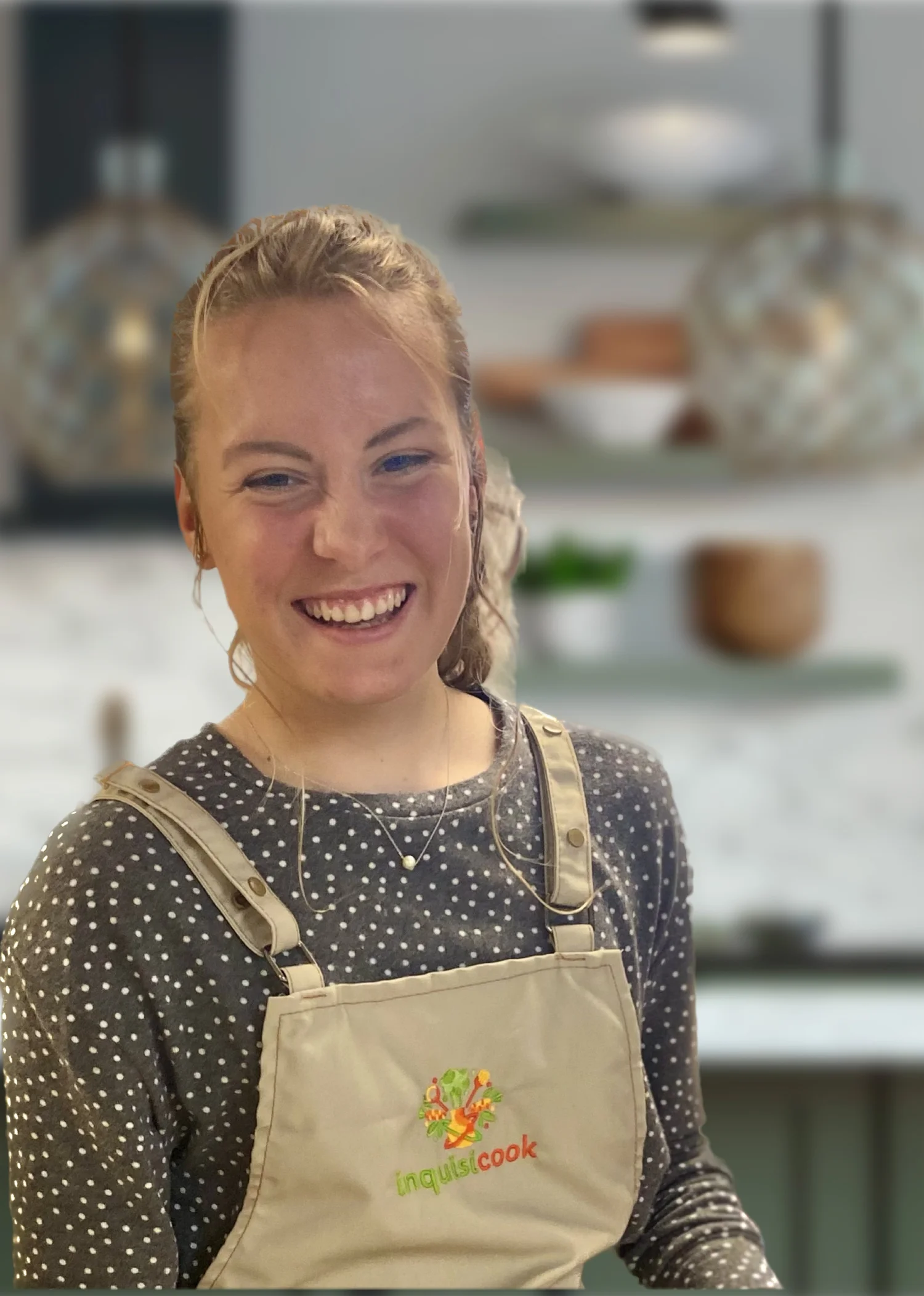 Inquisicook 1 — Inquisicook Culinary Science