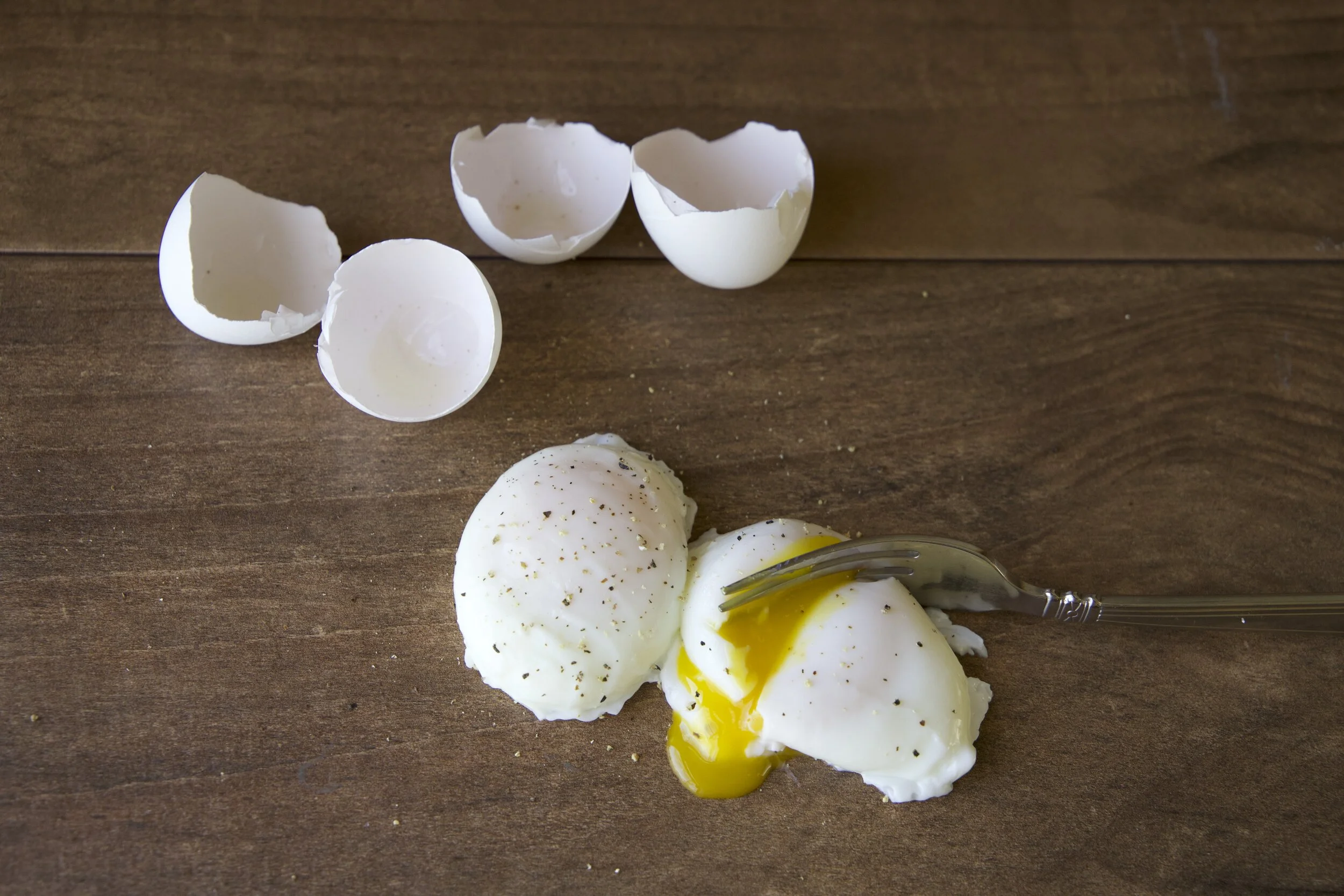 Sample Lessons — Inquisicook Culinary Science