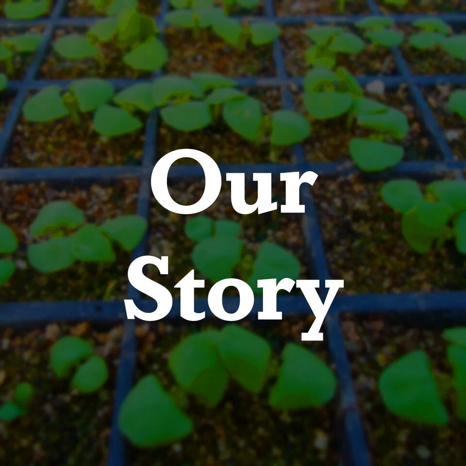 About 1 — Atlas Farm