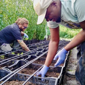 Gallery 2 — Atlas Farm