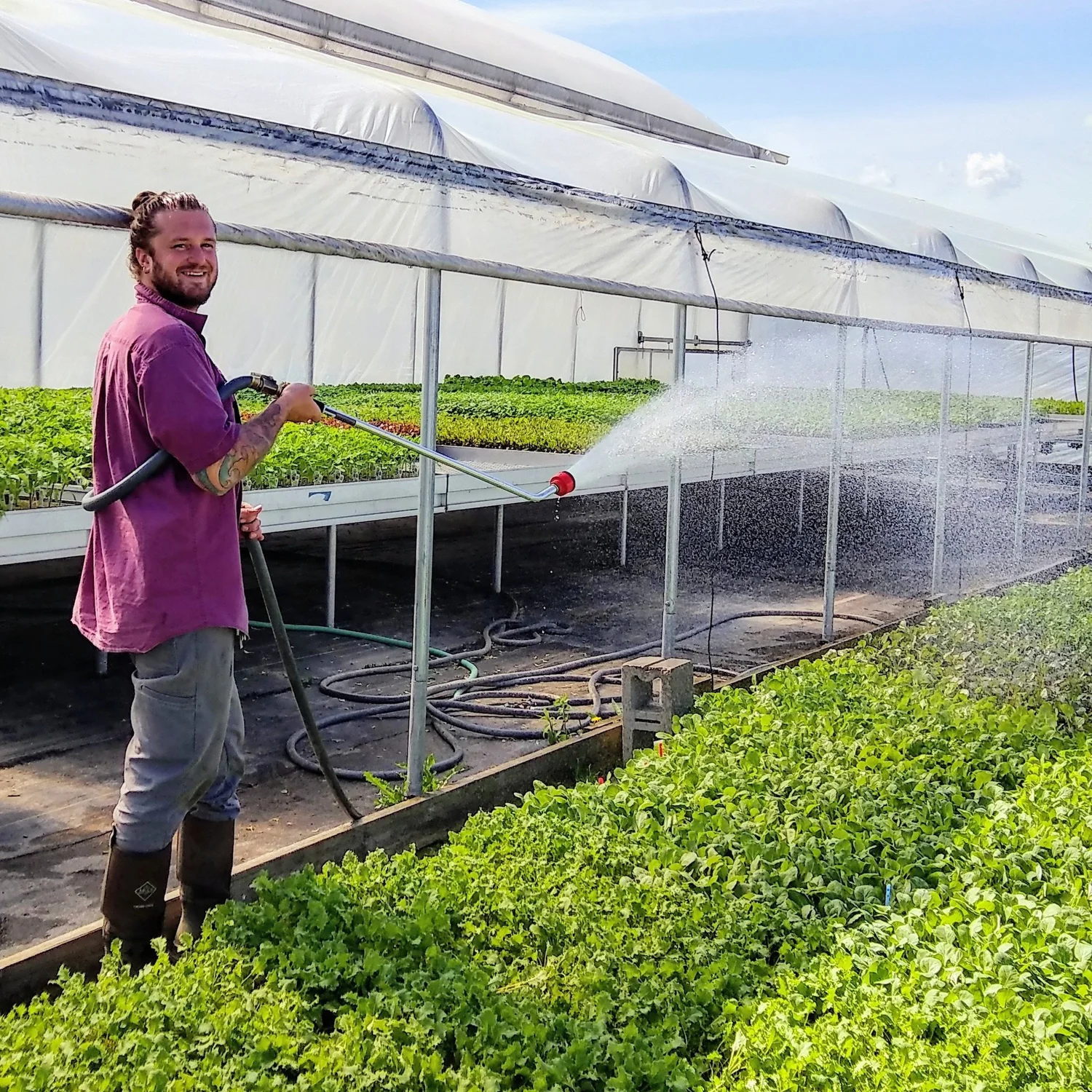 Gallery 2 — Atlas Farm