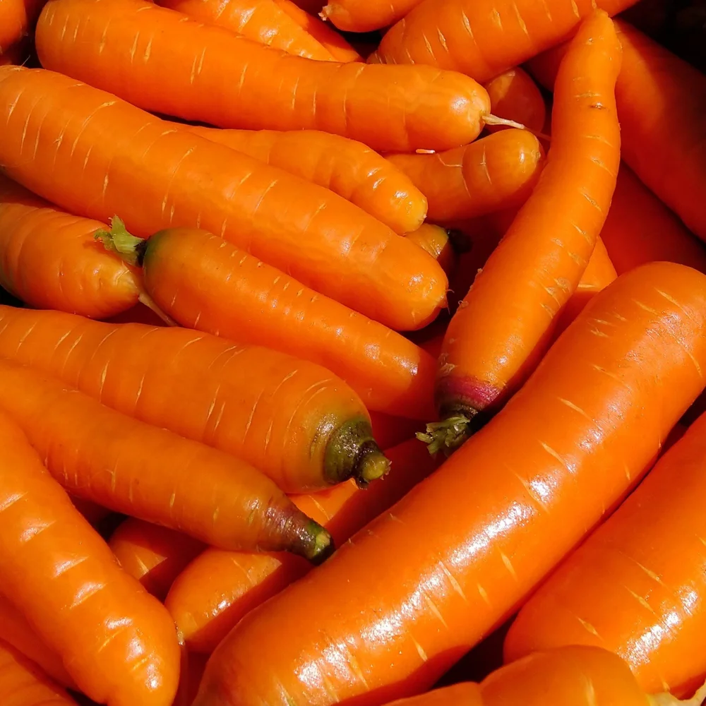 Wholesale — Atlas Farm