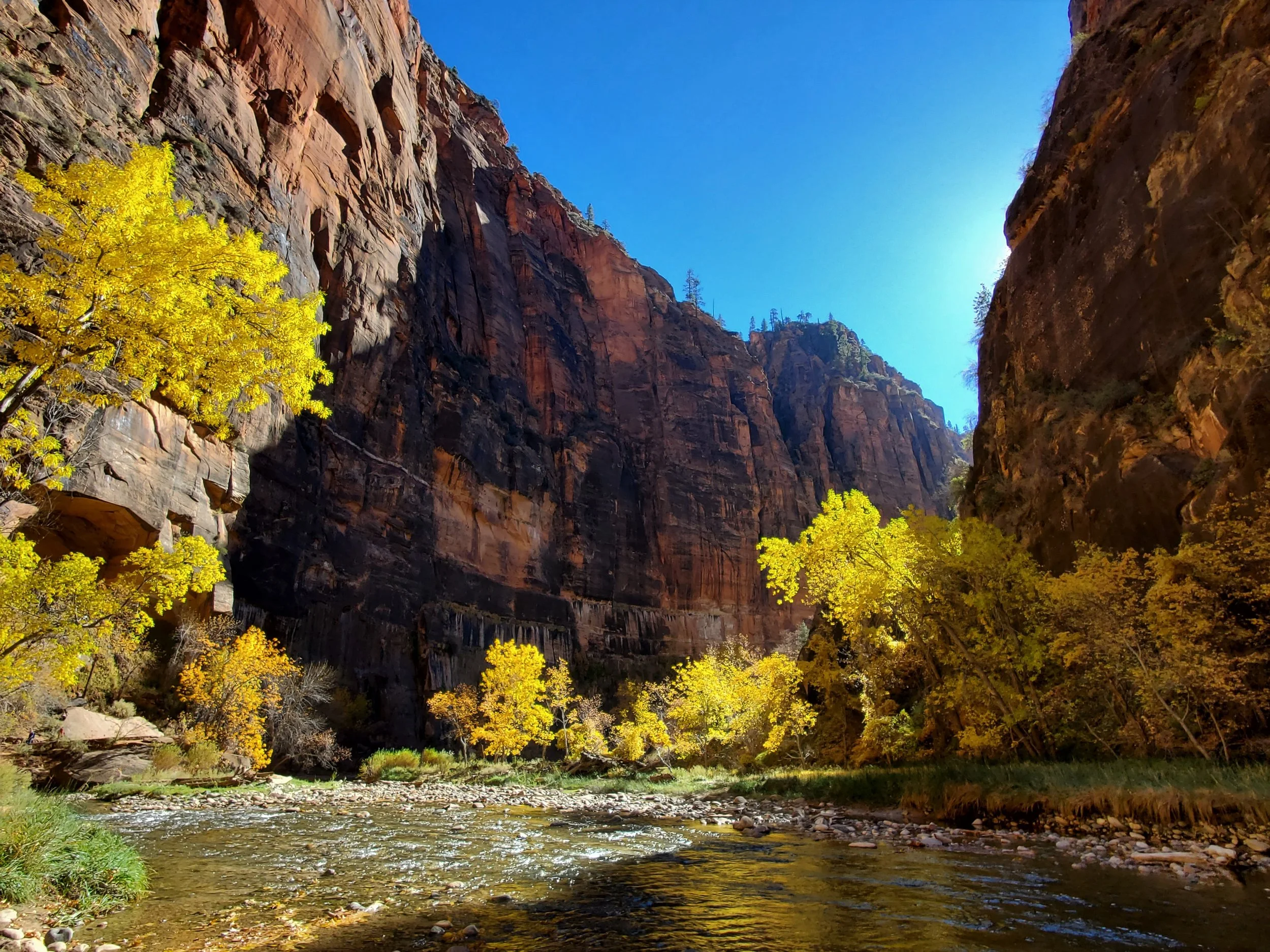 Utah: Zion National Park and Coral Pink Sand Dunes State Park — Going ...