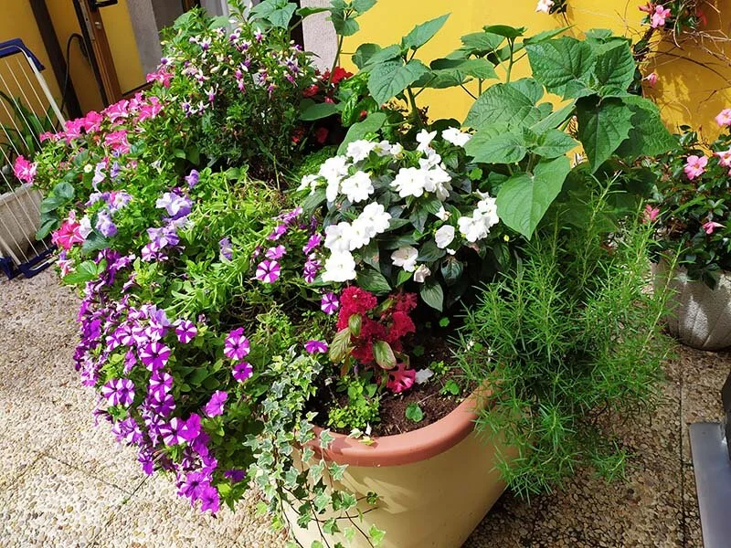 Green Circle Accessible Gardens