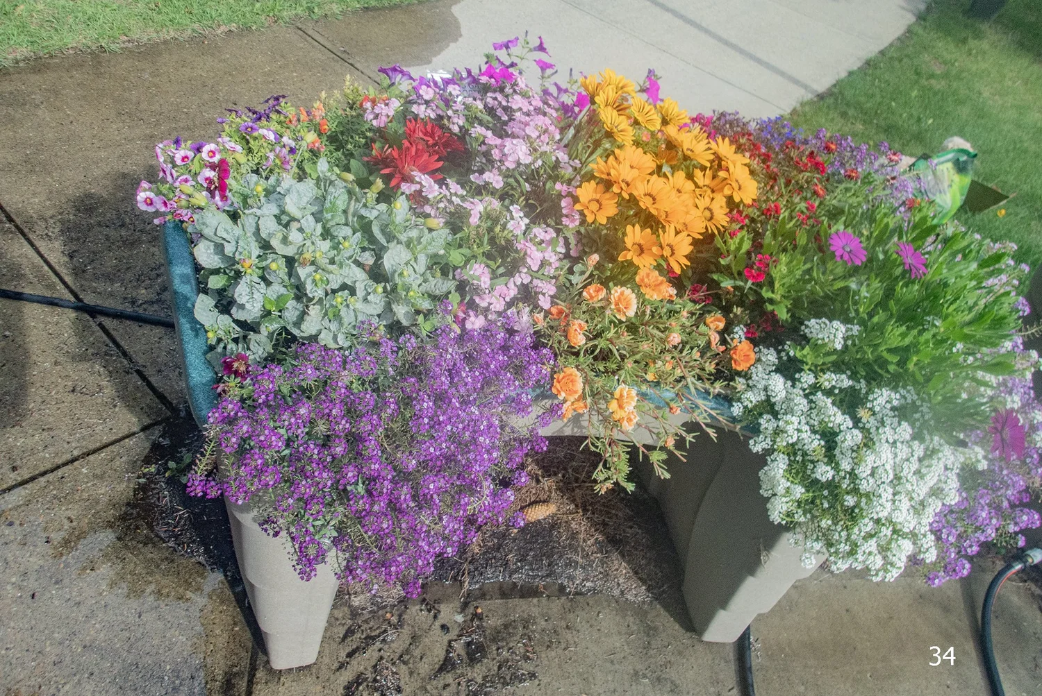 Transform Your Space with an Accessible Garden — Green Circle ...