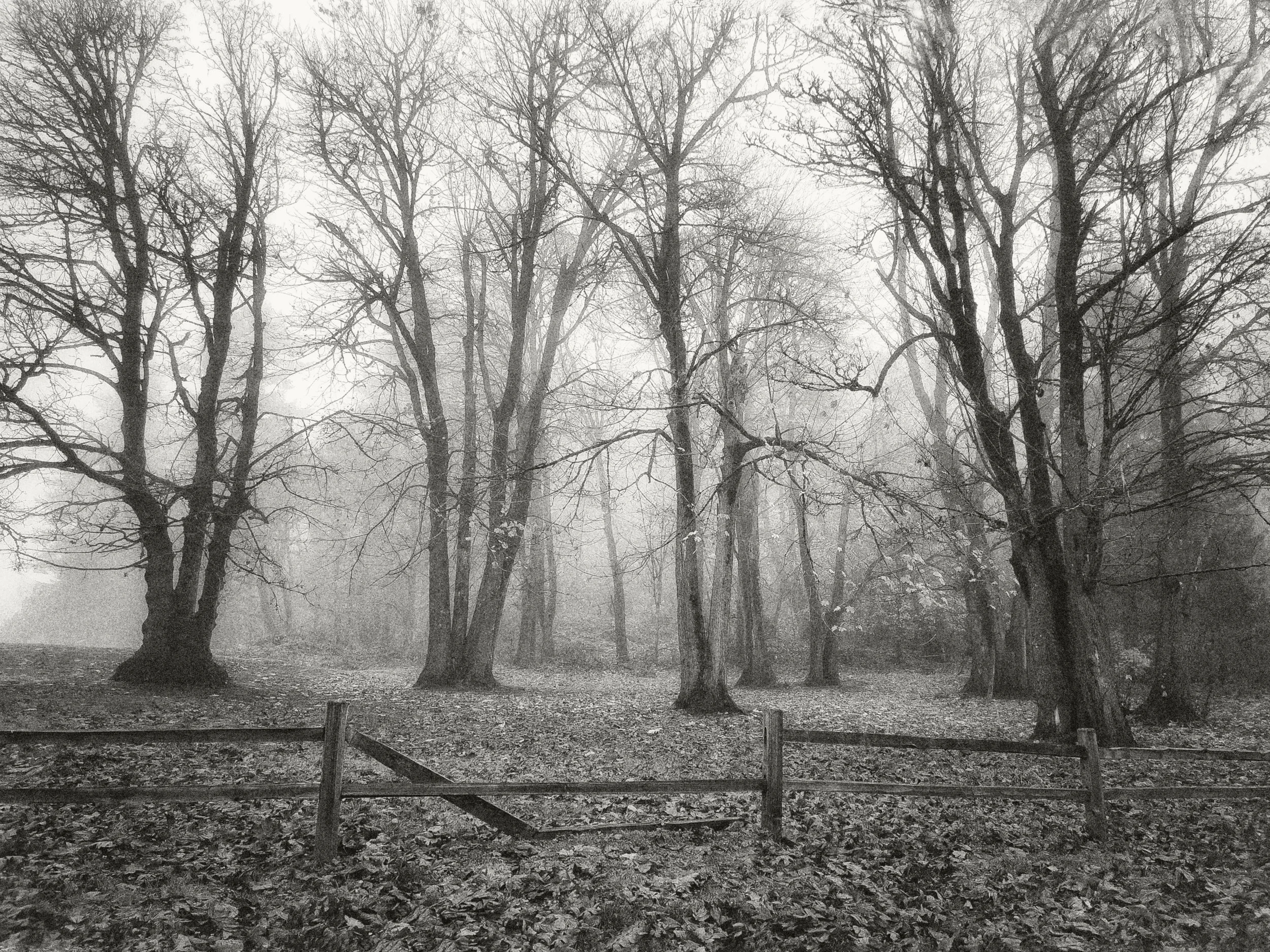 Lacuna — Megan Hatch, Artist