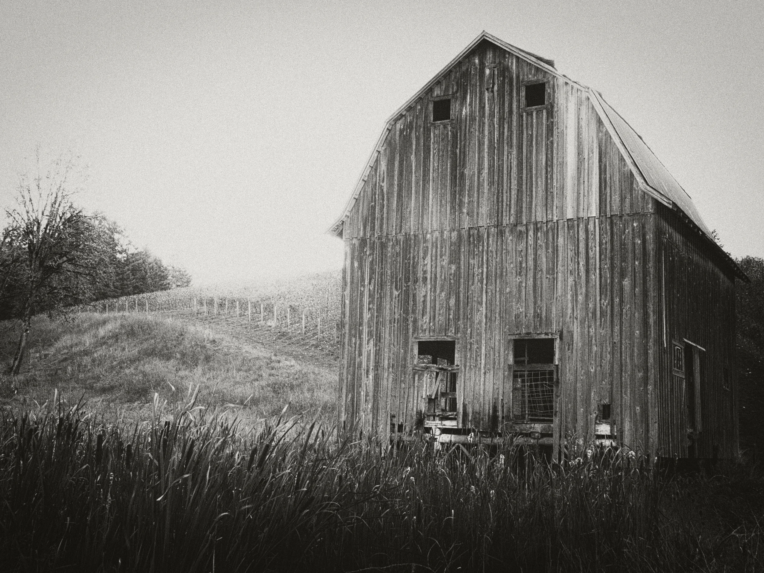 Lacuna — Megan Hatch, Artist