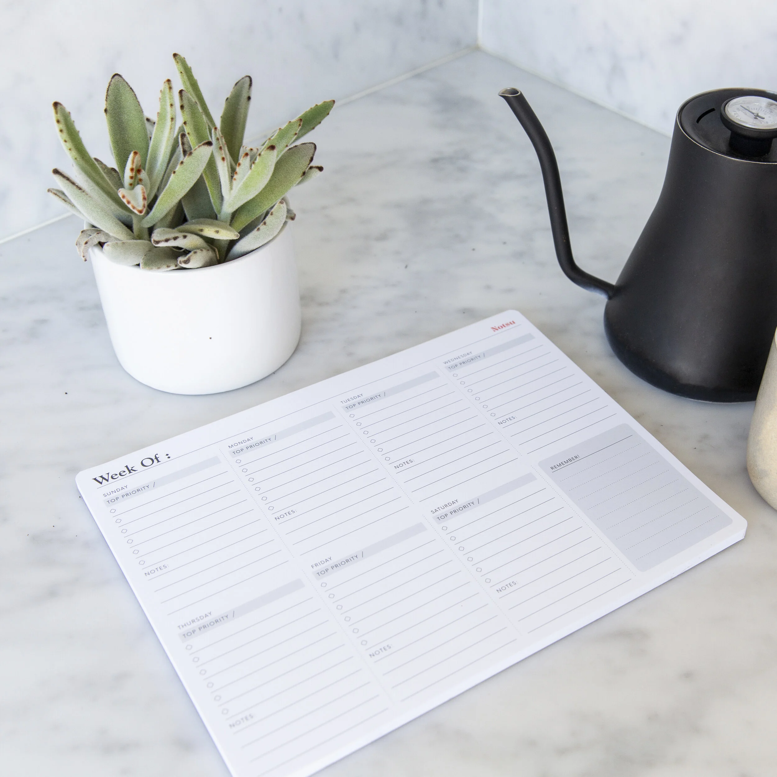 Notsu — Maxton & Company