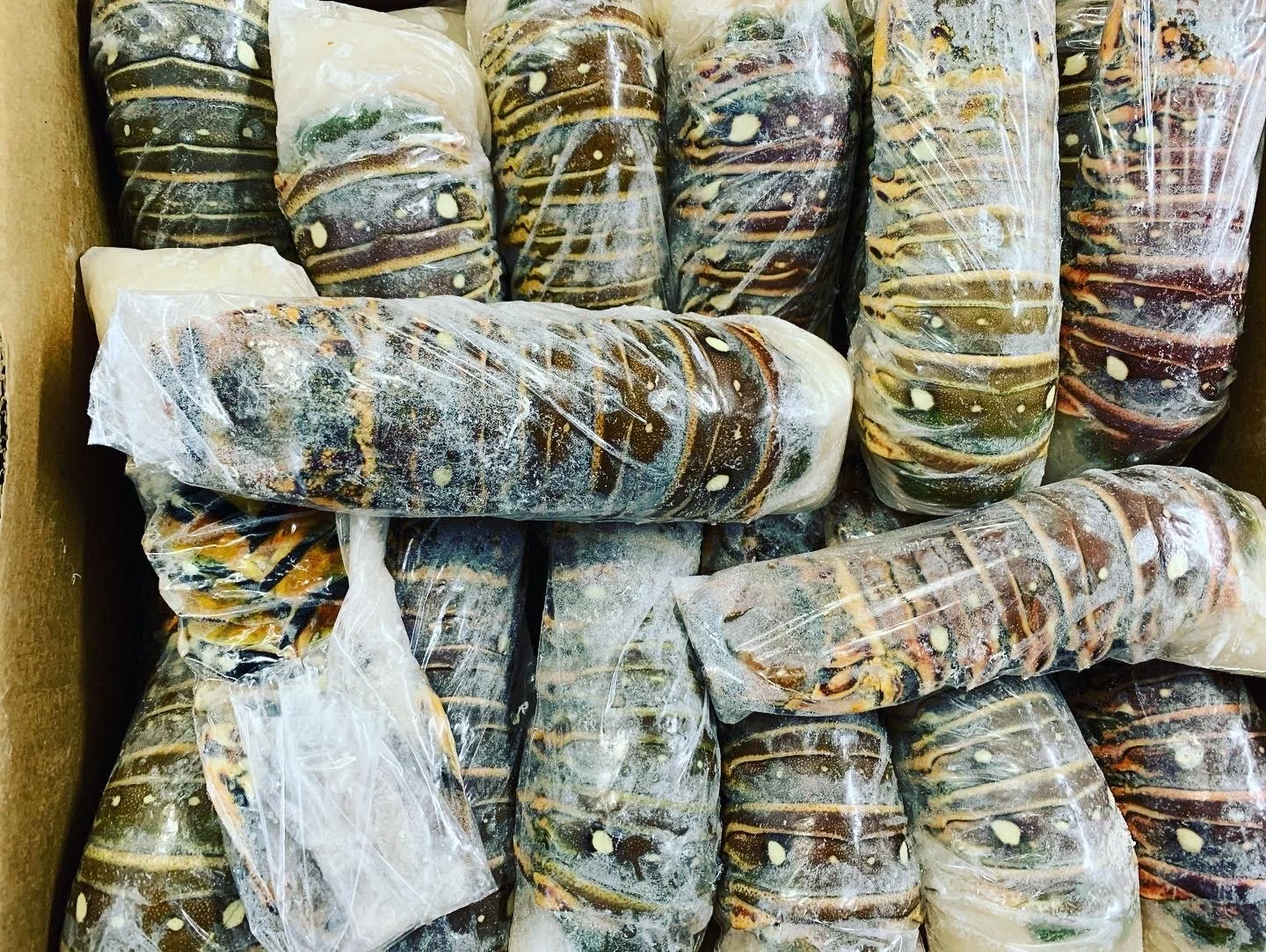 Shop — Surf City Crab Seafood Market