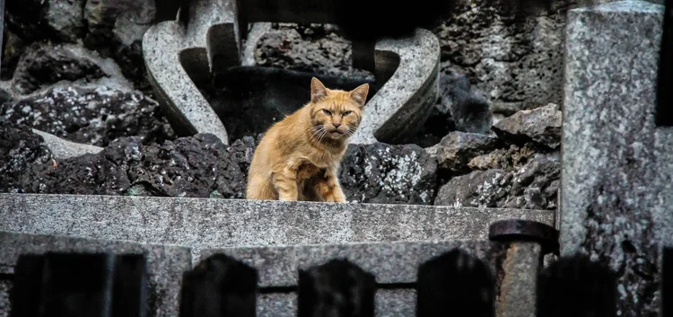 Creative Writing Thesaurus: Describing Frowning Characters — CELLAR ...
