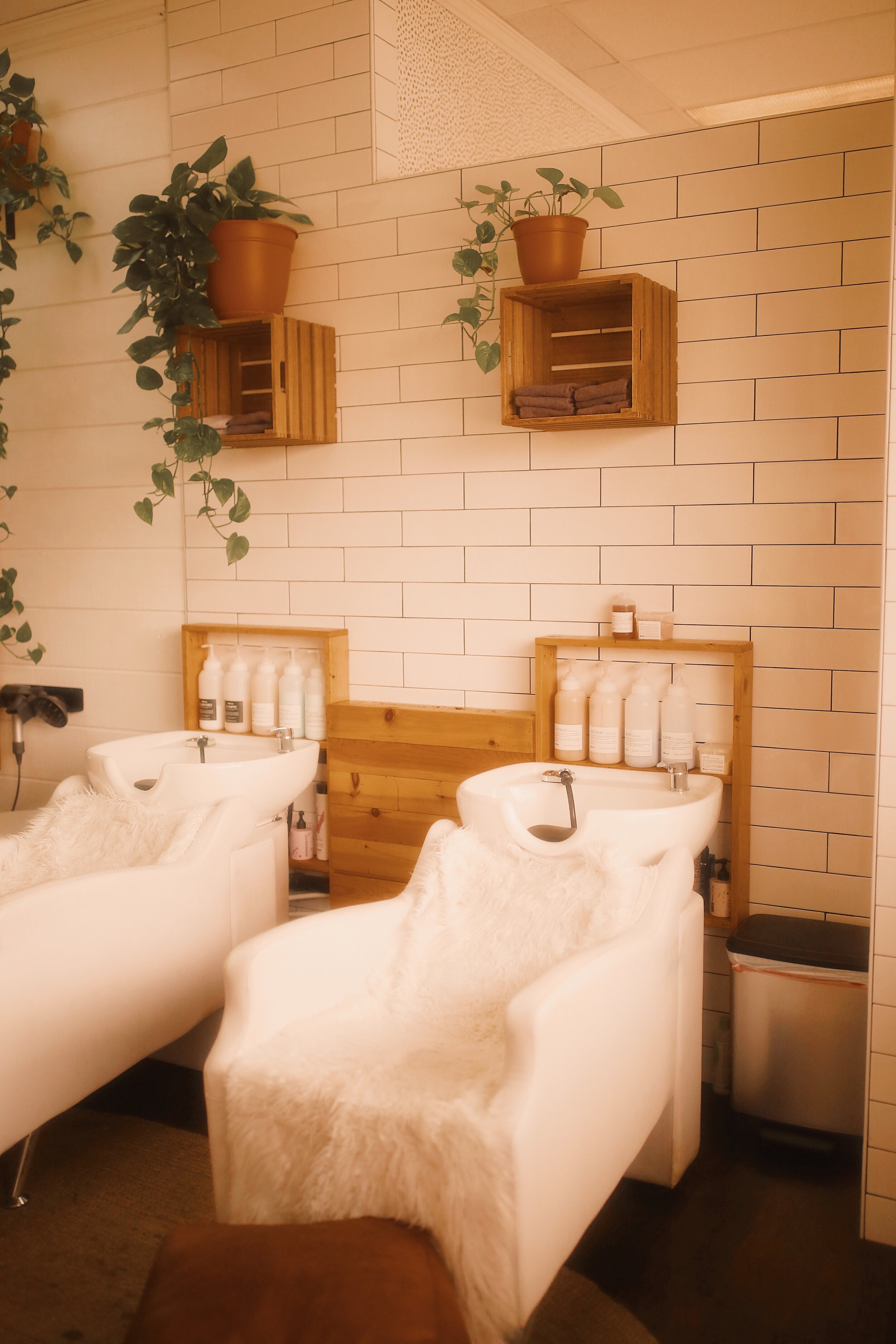 OLIVER AND CO SALON