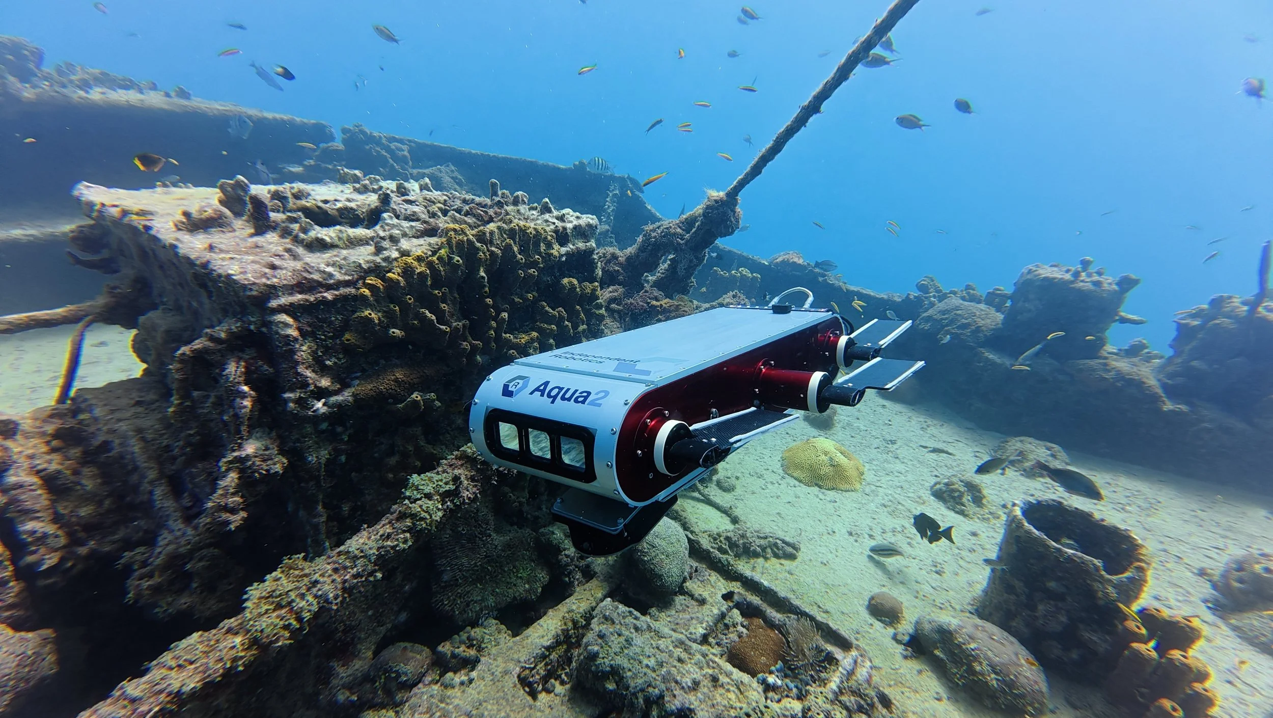 Independent Robotics