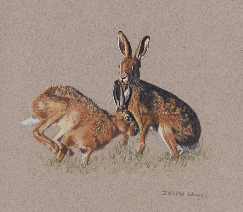 Original Paintings — Jason Lowes Artist