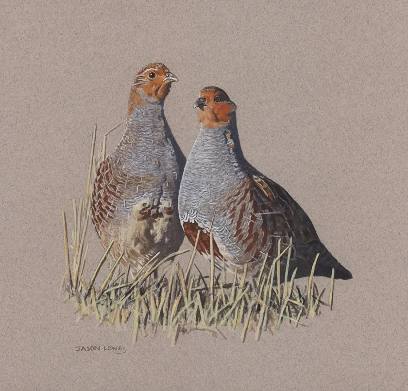 Original Paintings — Jason Lowes Artist