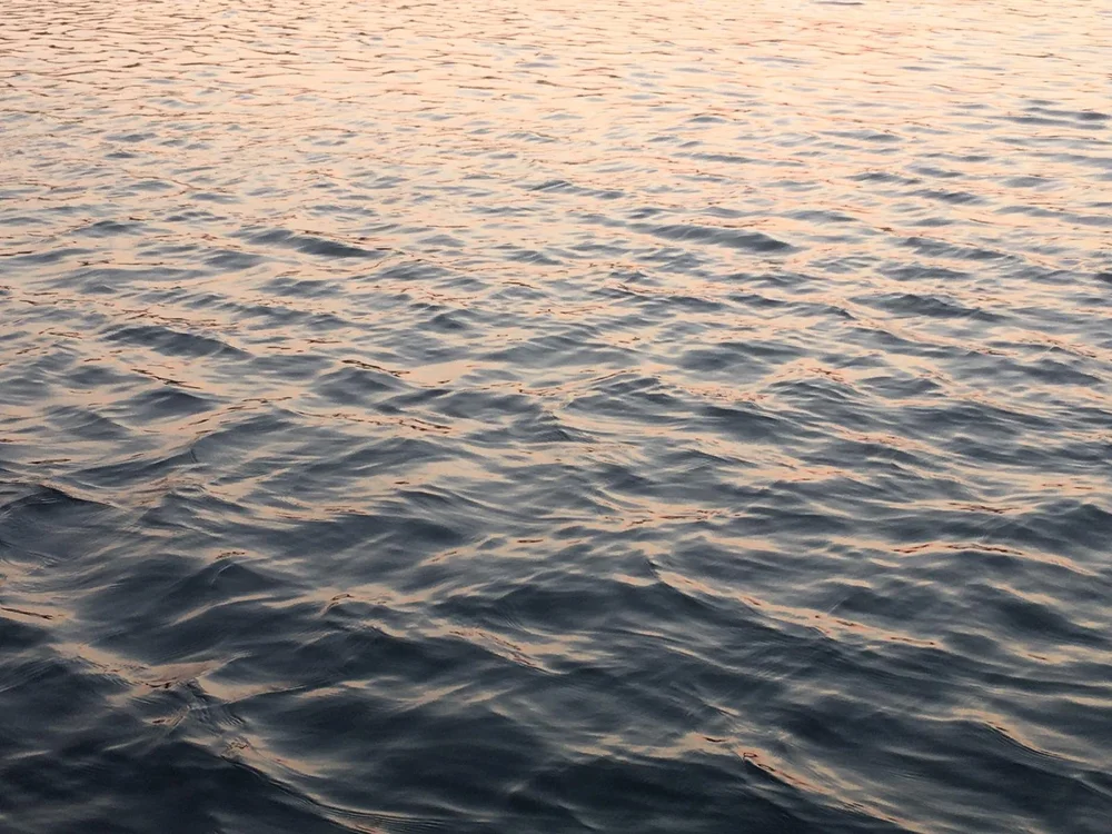 General 1 — Windswept