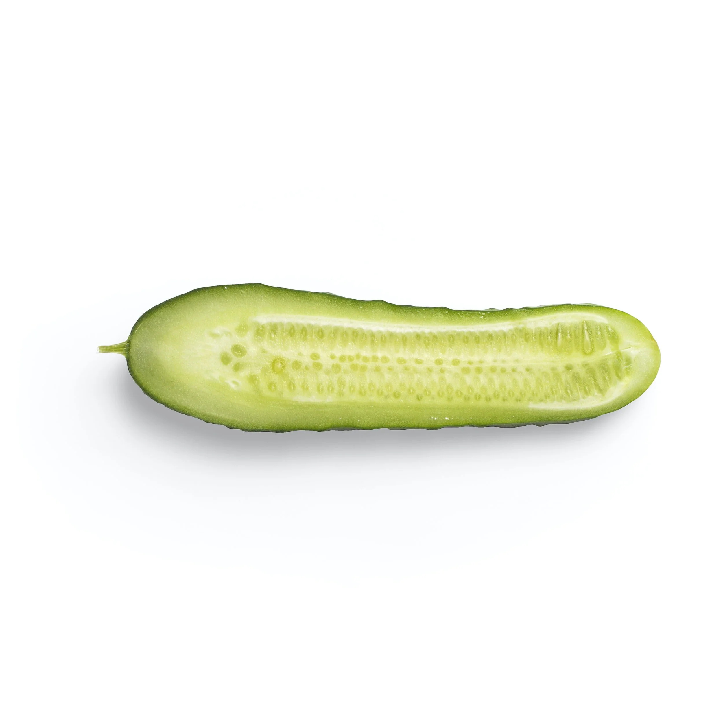 Why Is It Called Pickleball The Two Stories Of How Pickleball Really why-is-it-called-pickleball-the-two-stories-of-how-pickleball-really