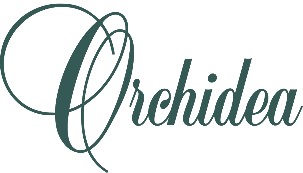 Orchidea