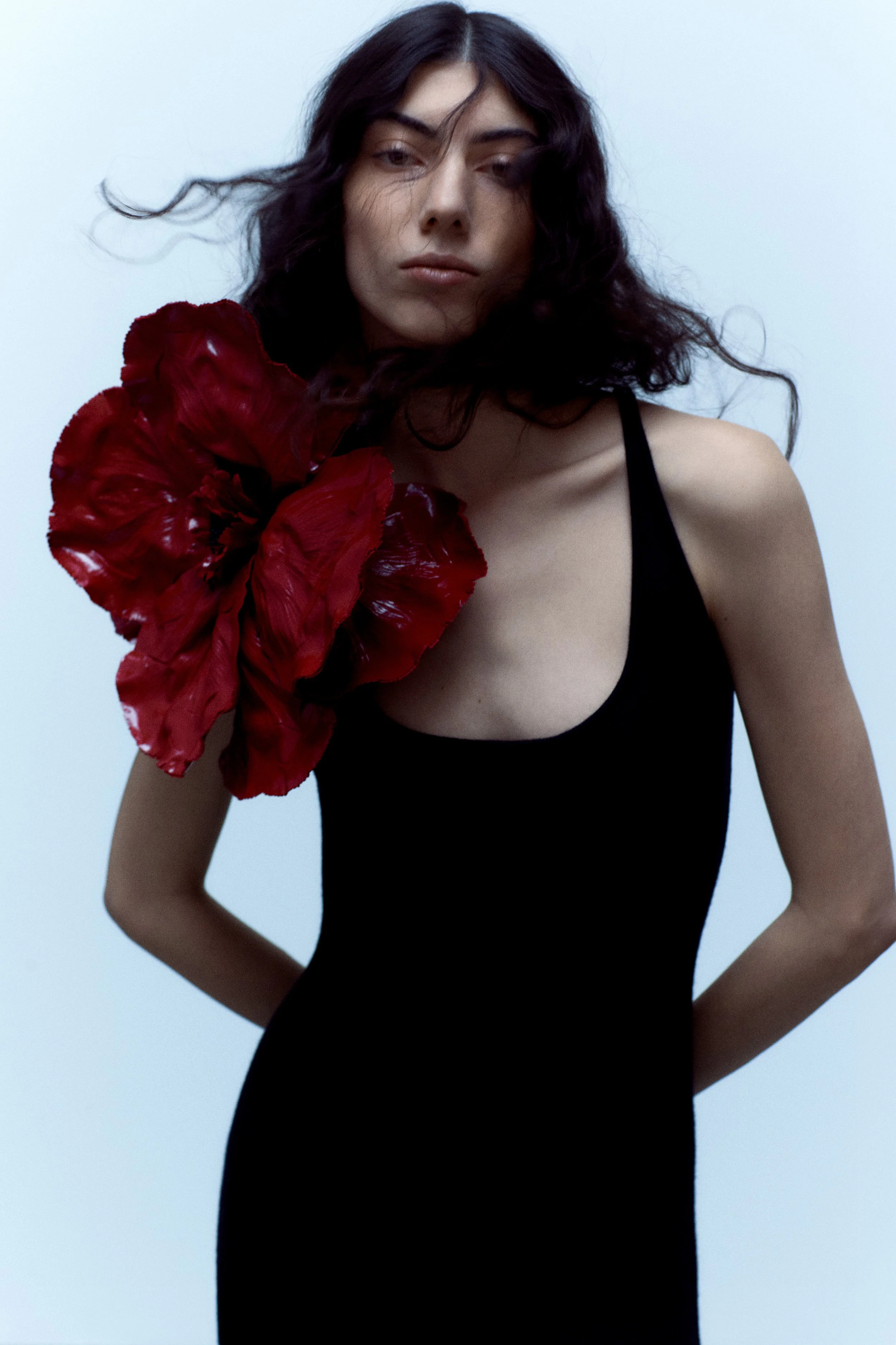 American Luxury Fashion Designer | Amir Taghi