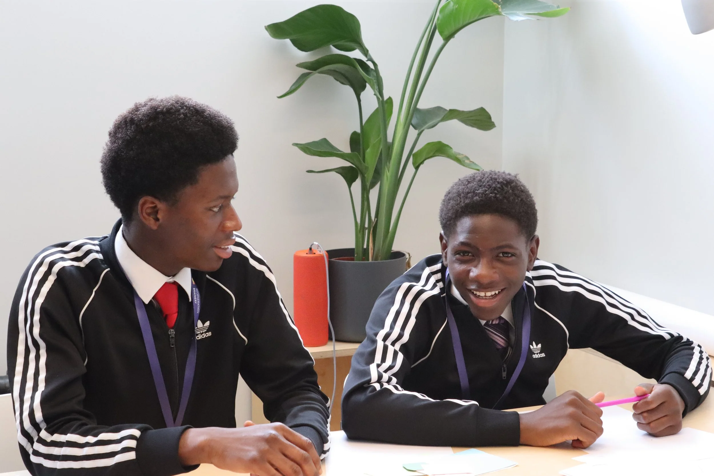 Apply Now — Regeneration Brainery