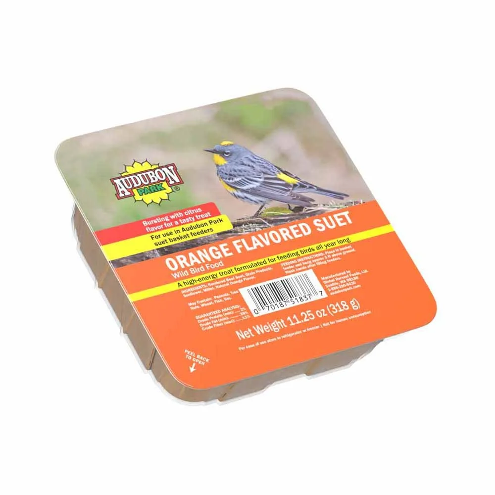High Energy Suet — Audubon Park