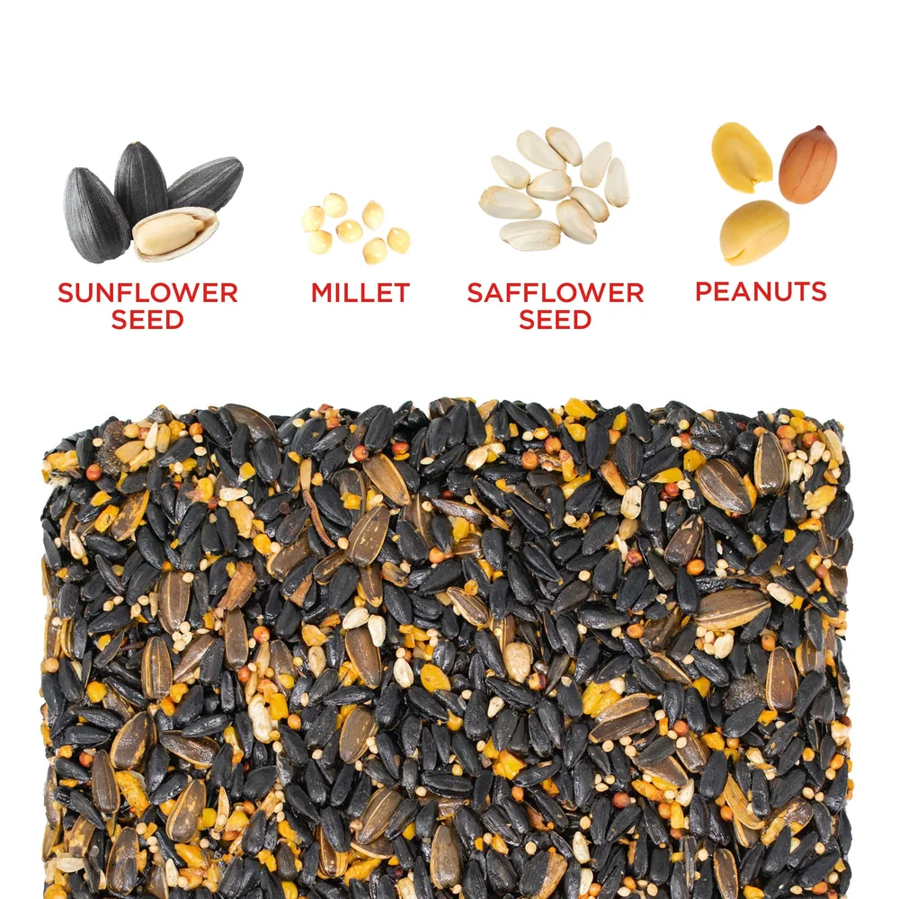 Sunflower Seed Cake