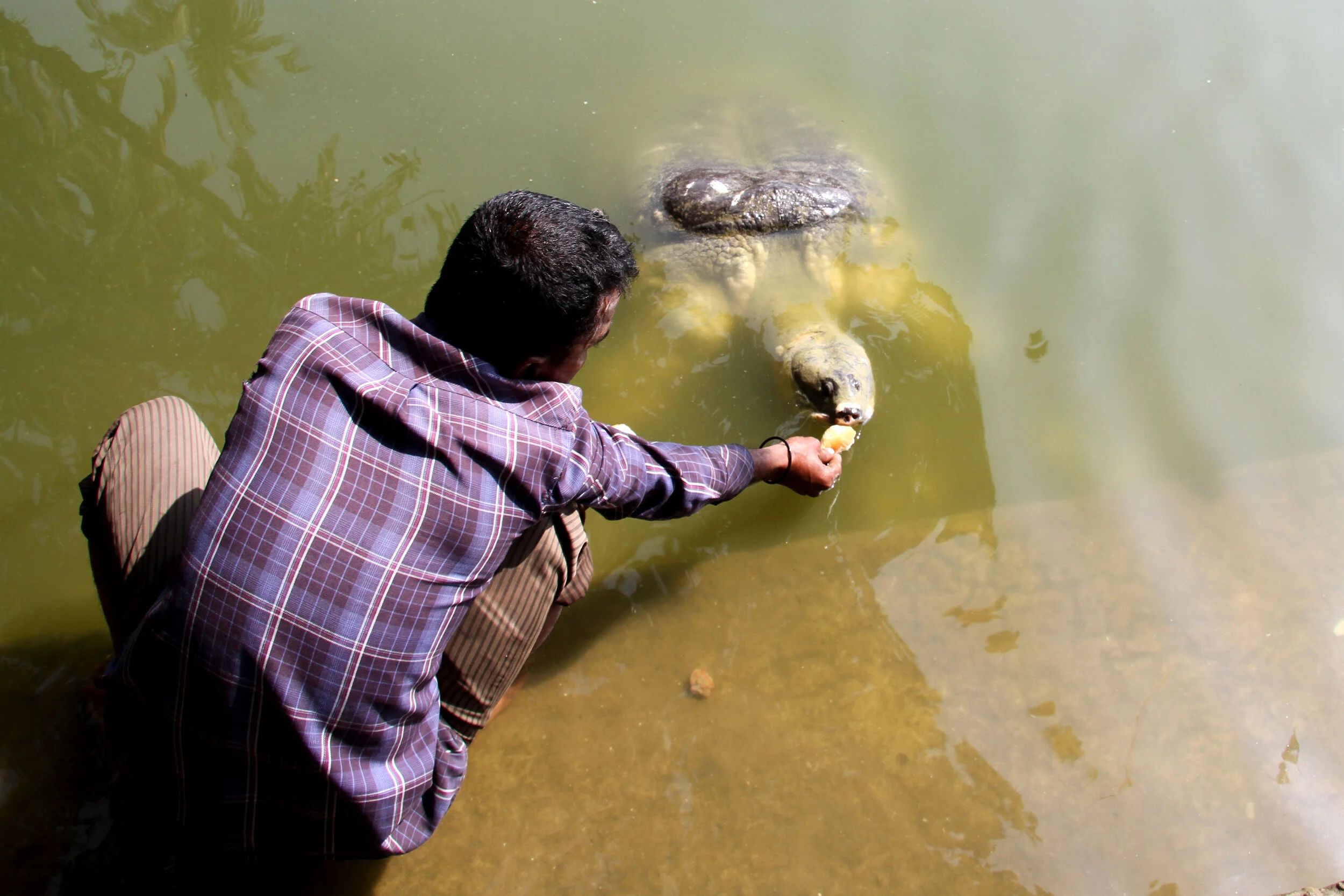 Bayazid Bistami, Chittagong, Bangladesh — Sara Kuehn