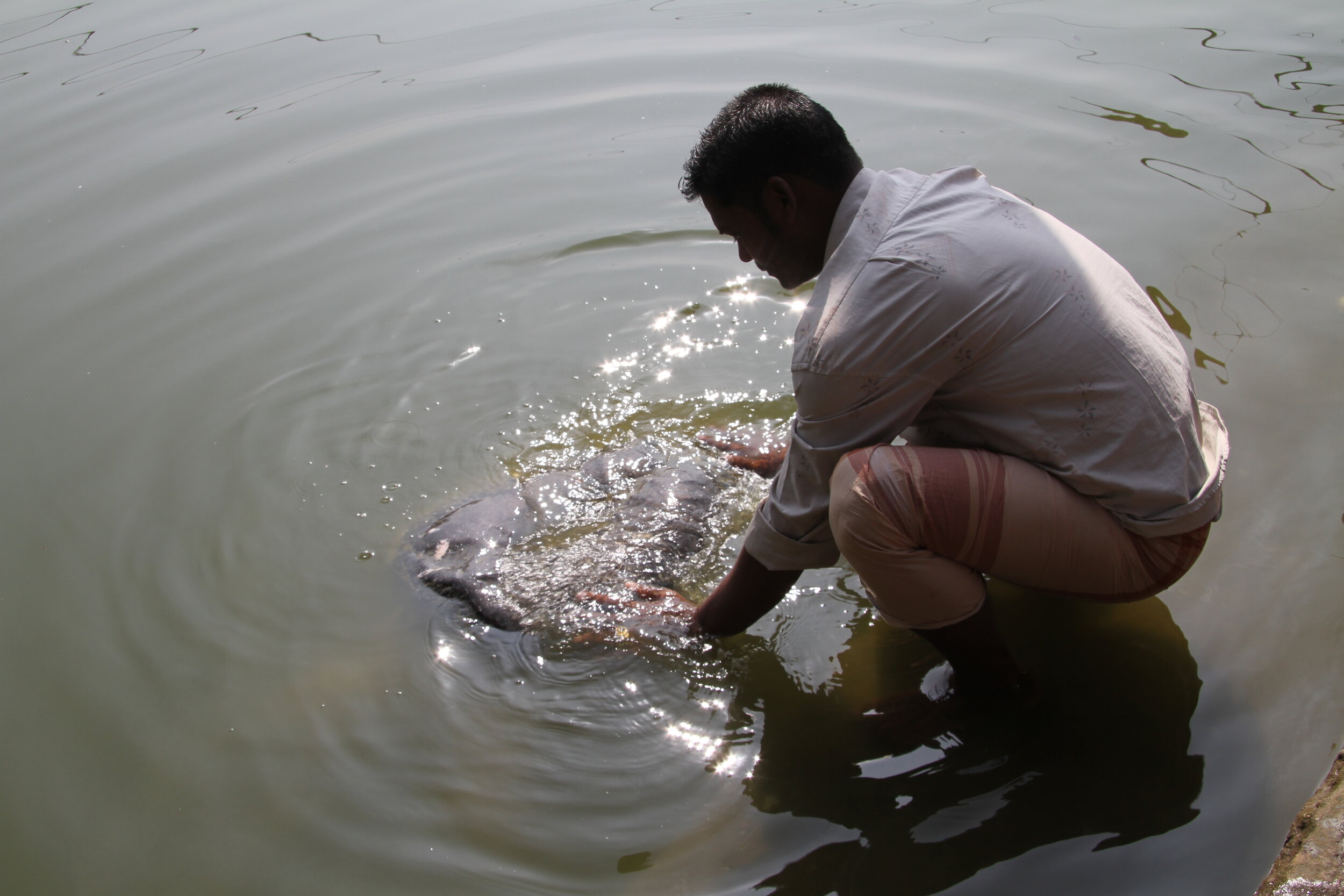 Bayazid Bistami, Chittagong, Bangladesh — Sara Kuehn