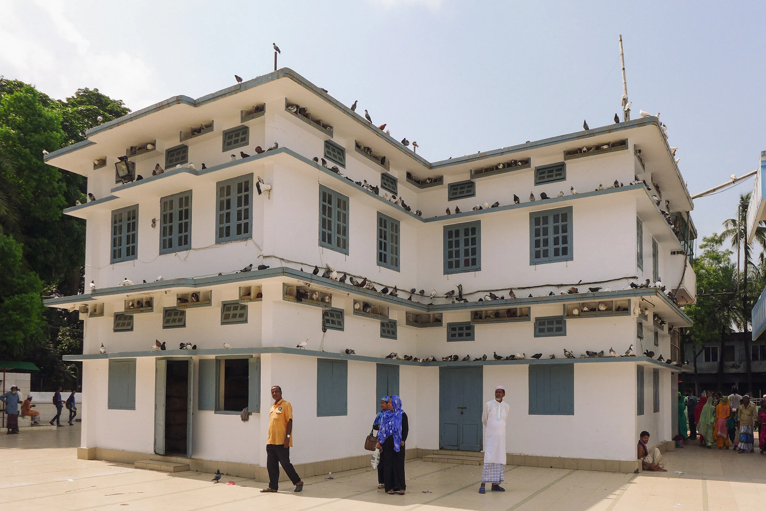 Rock pigeons and gozar fish at Shah Jalal Shrine in Sylhet ...
