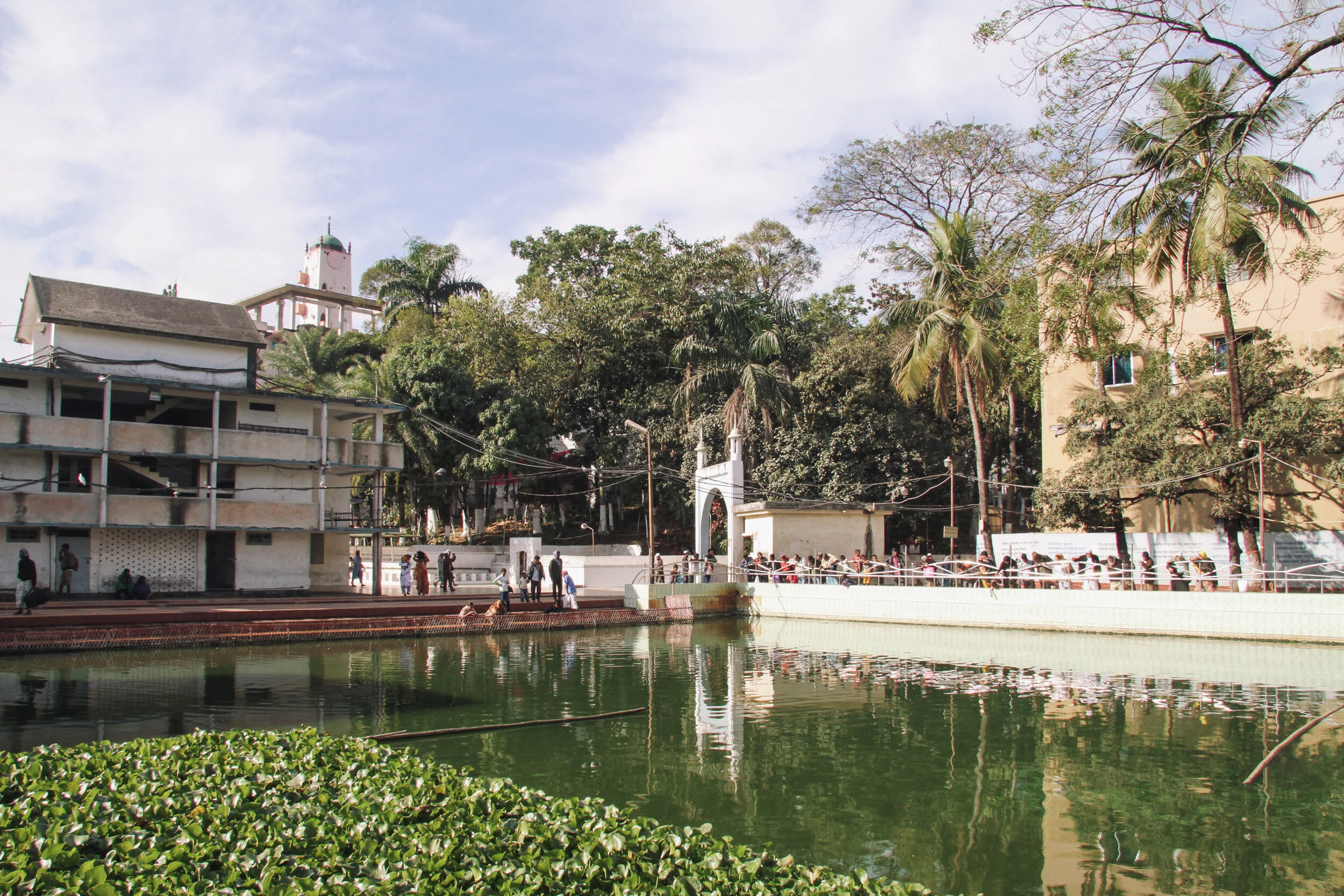 Rock pigeons and gozar fish at Shah Jalal Shrine in Sylhet ...