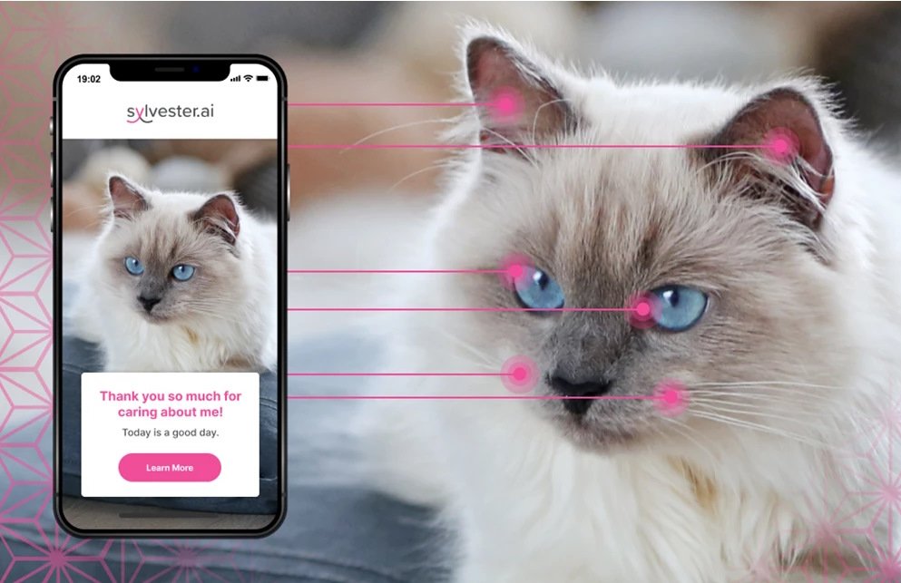 sylvester.ai | Predictive Animal Healthcare Tools sylvester.ai | Predictive Animal Healthcare Tools