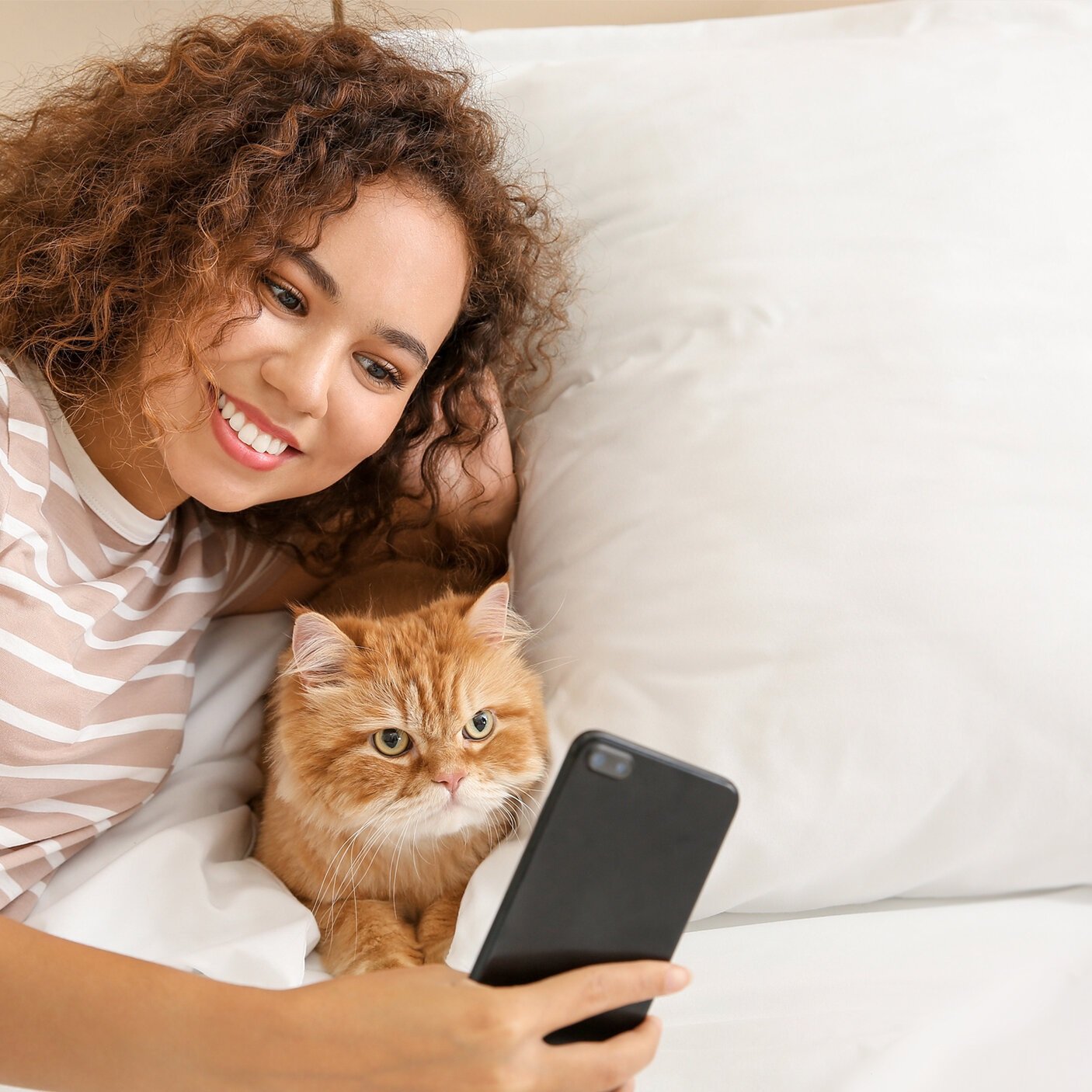sylvester.ai | Predictive Animal Healthcare Tools sylvester.ai | Predictive Animal Healthcare Tools