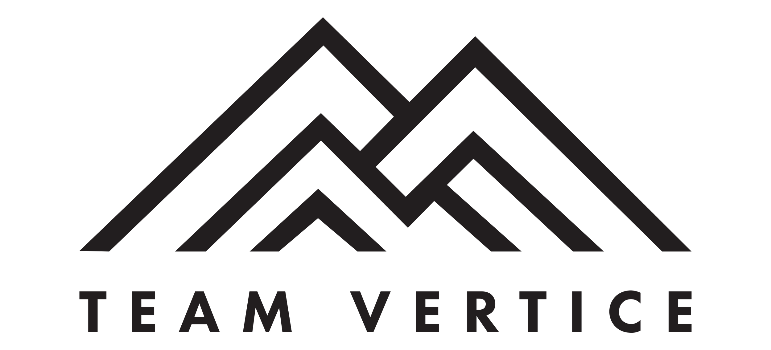 Meet Team Vertice | B2B Growth Marketing Experts