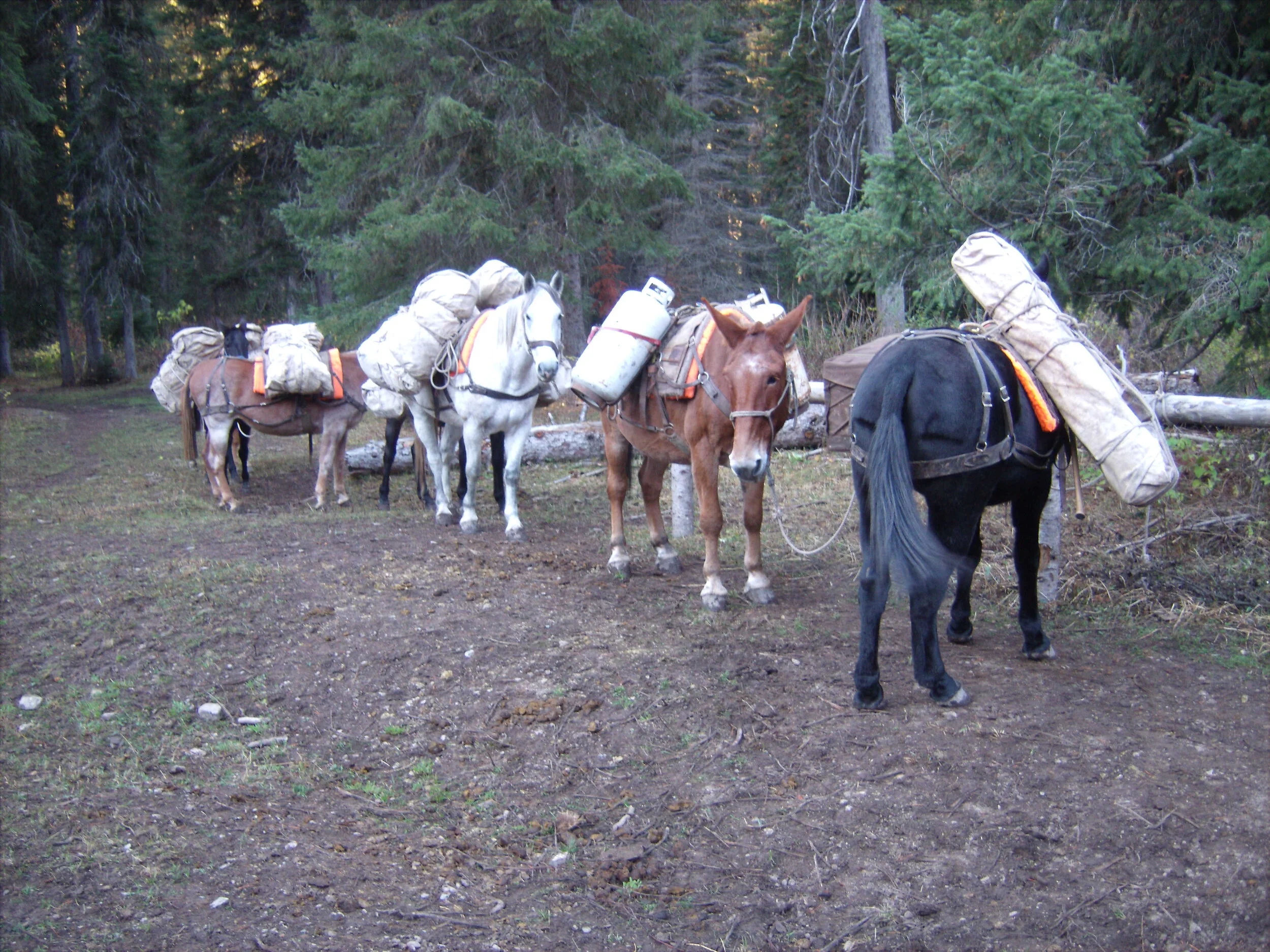 Hunt Rates — High Rock Outfitters MT