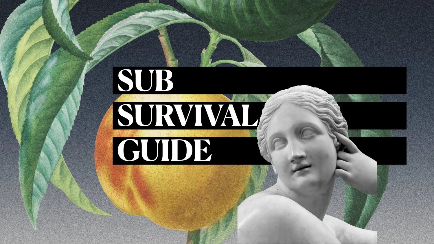 Sub Survival Guide — ask a sub