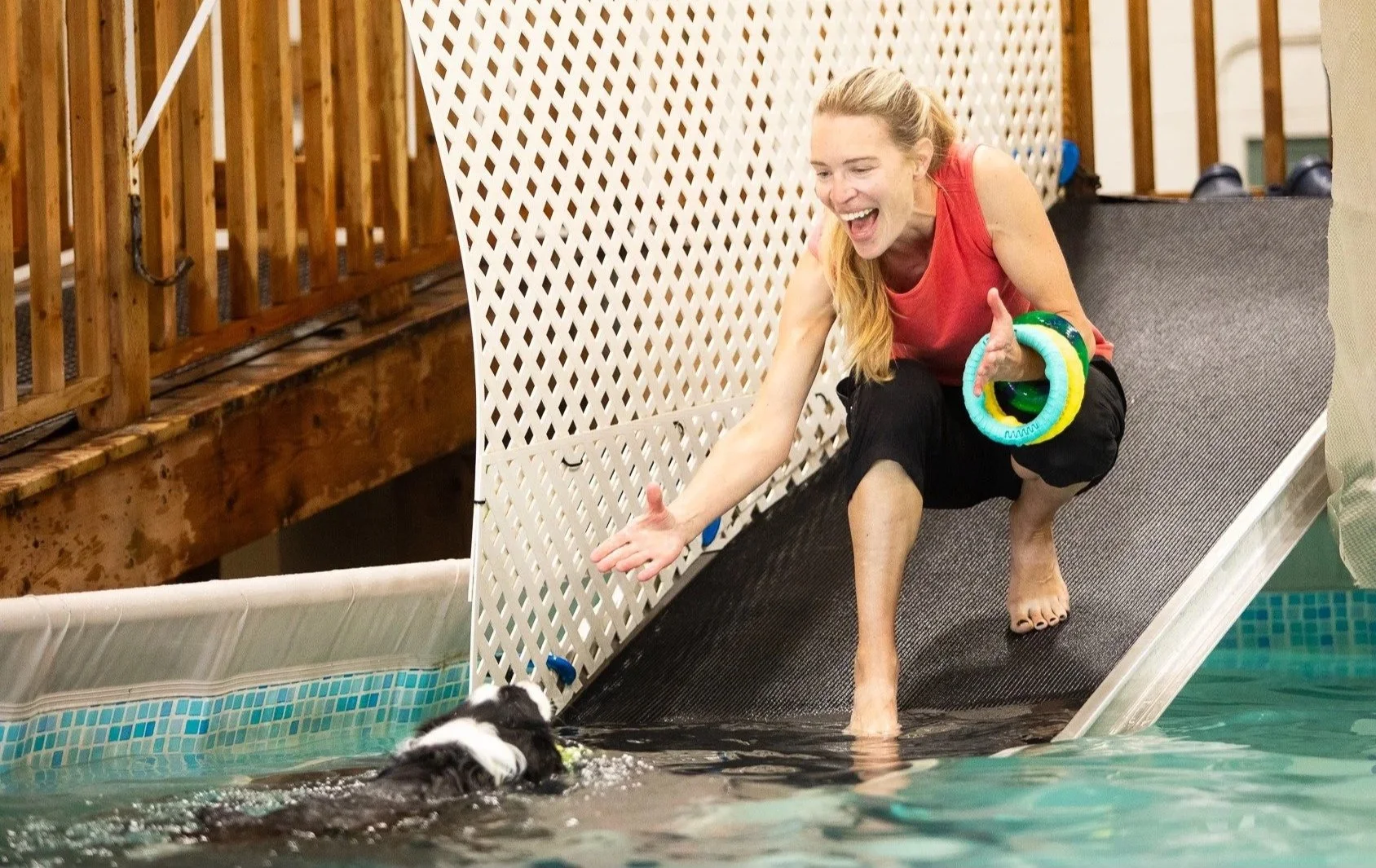 Splash Canine Swim Club