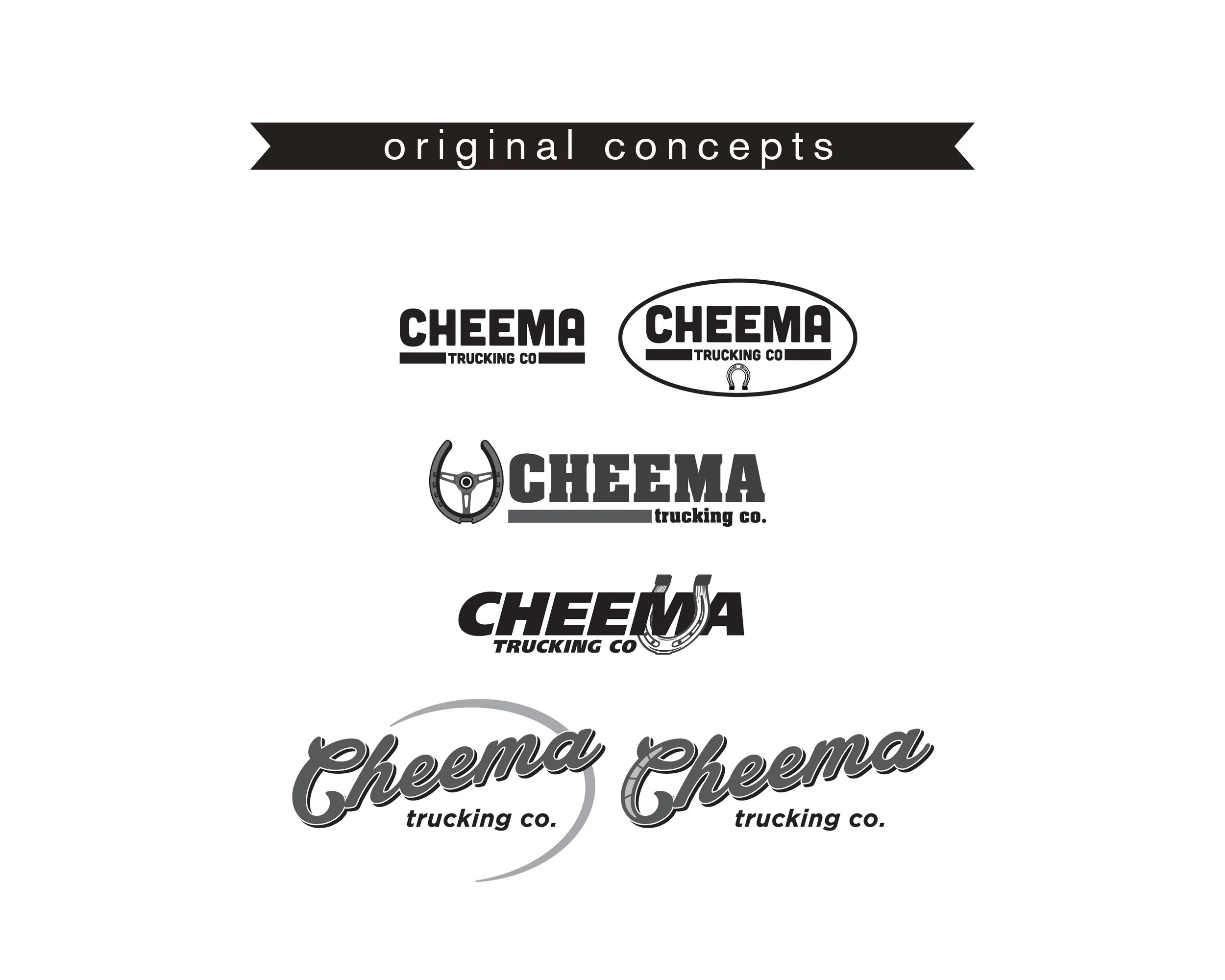 Cheema Trucking Co Logo — Your Site Title