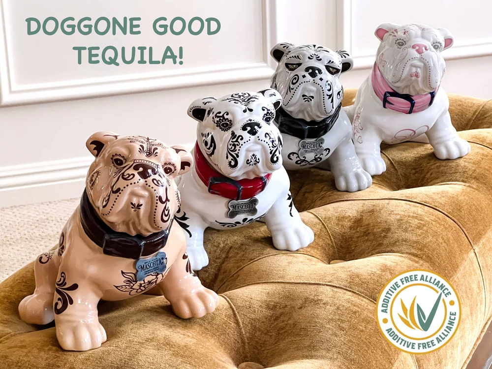 About — MASCOTA TEQUILA