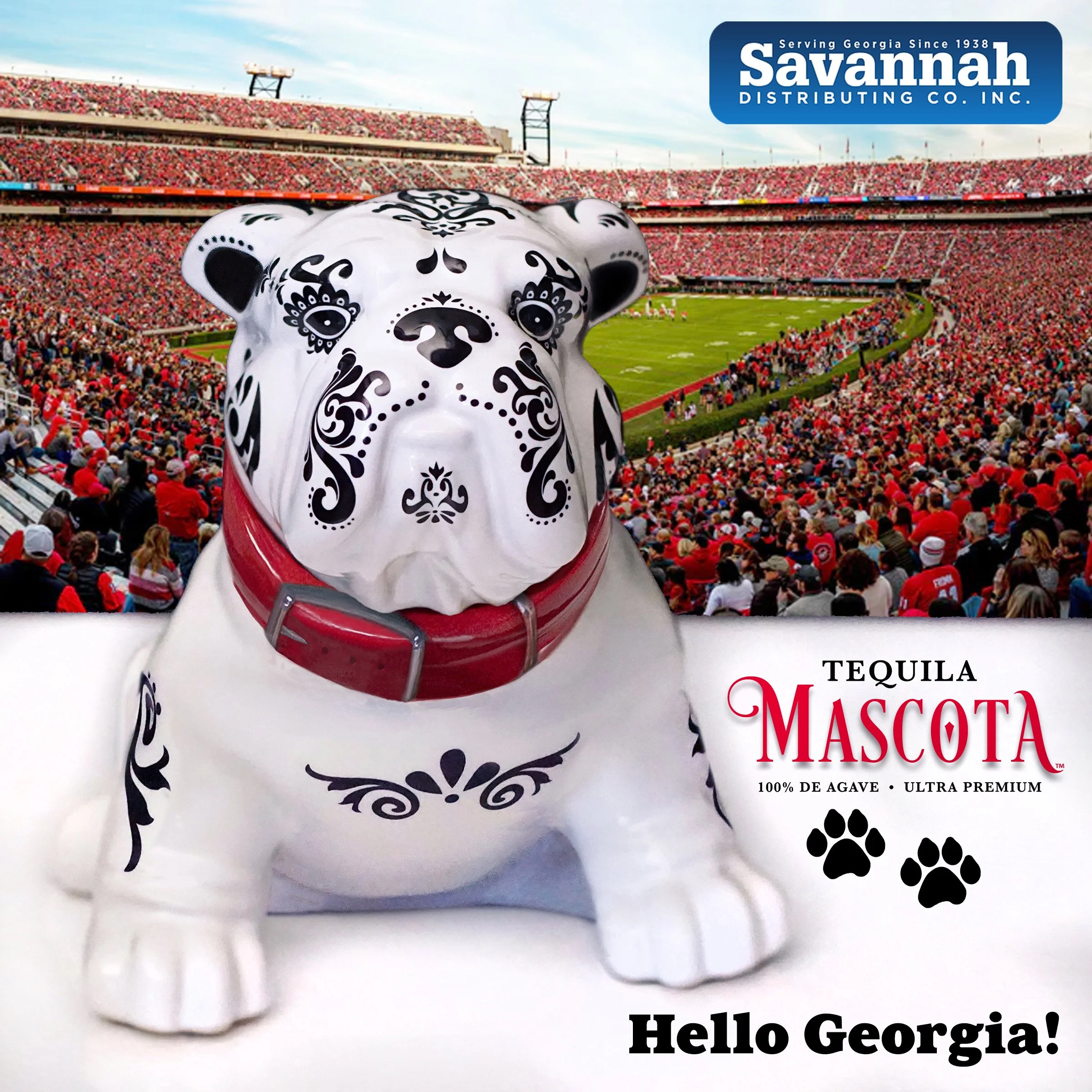 Shop Mascota — MASCOTA TEQUILA