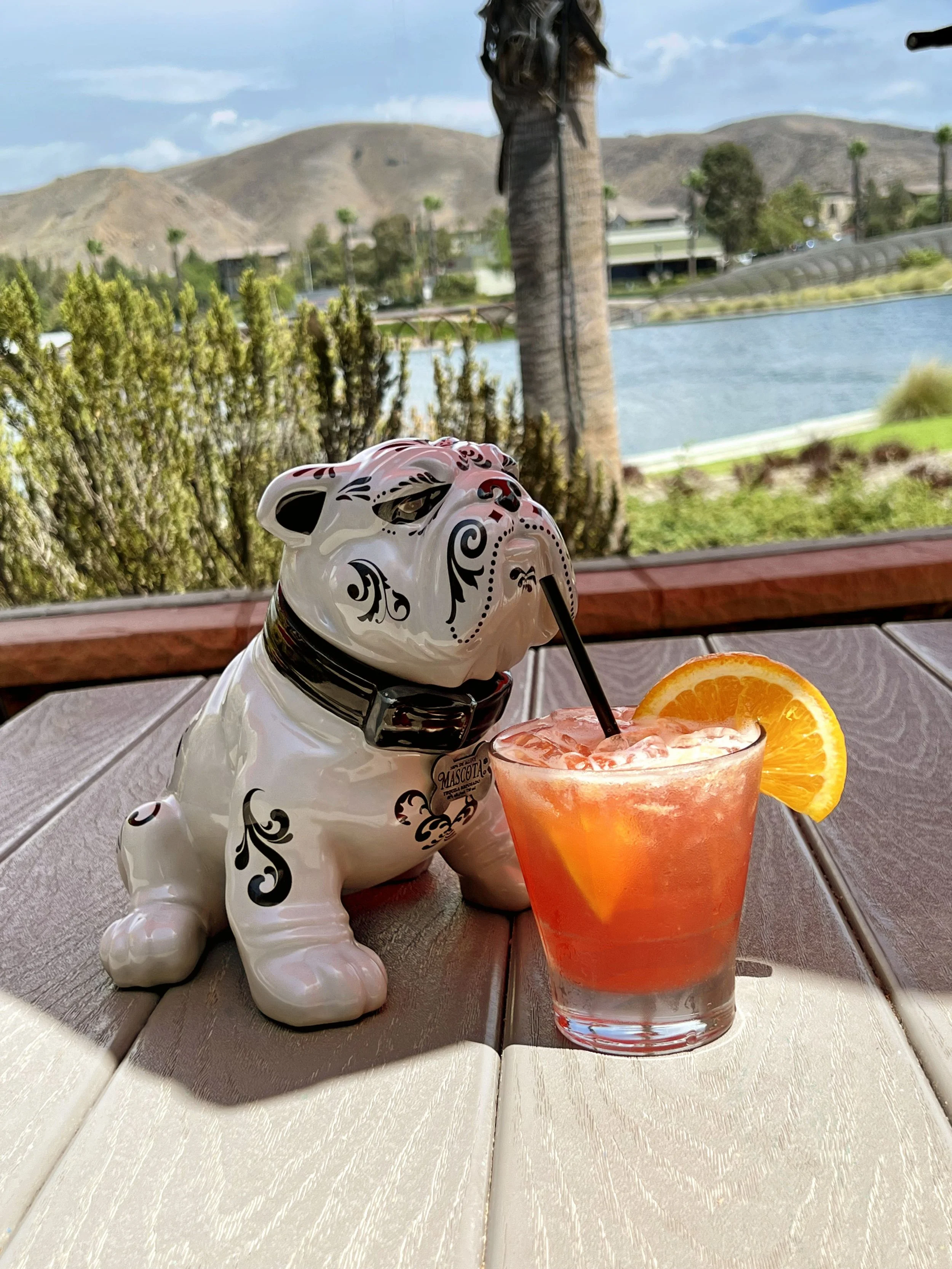 Cocktails — MASCOTA TEQUILA