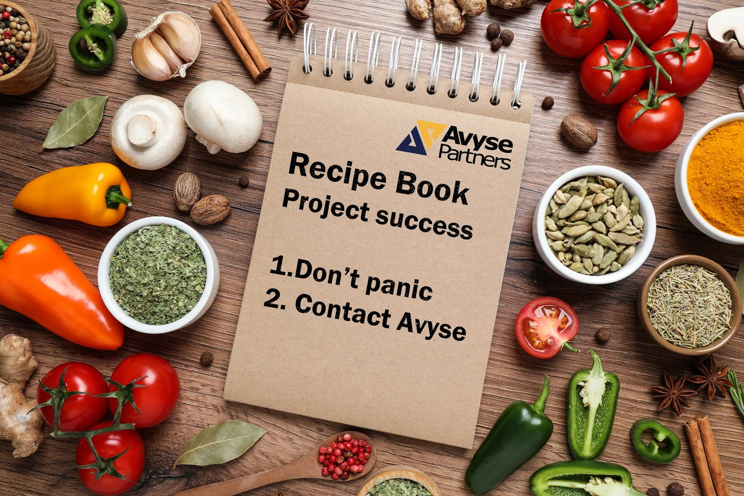 Our recipe for successful regulatory projects in 2024 — Avyse Partners