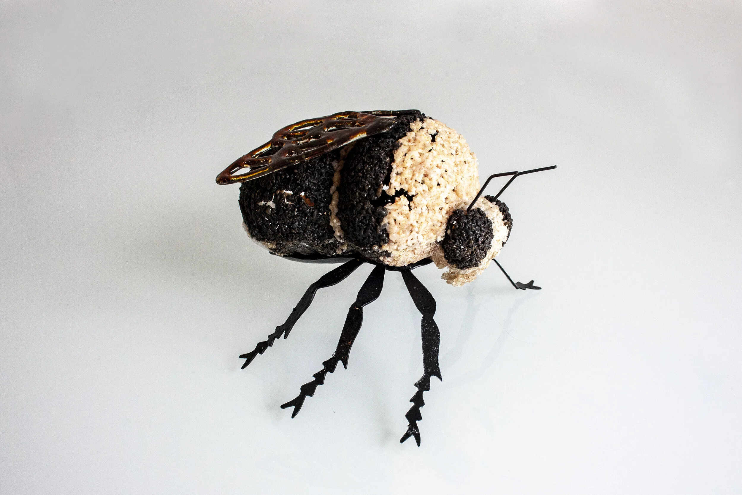 Preservation of wild bees — Oseng-Rees Reflection Ltd Consultancy and ...
