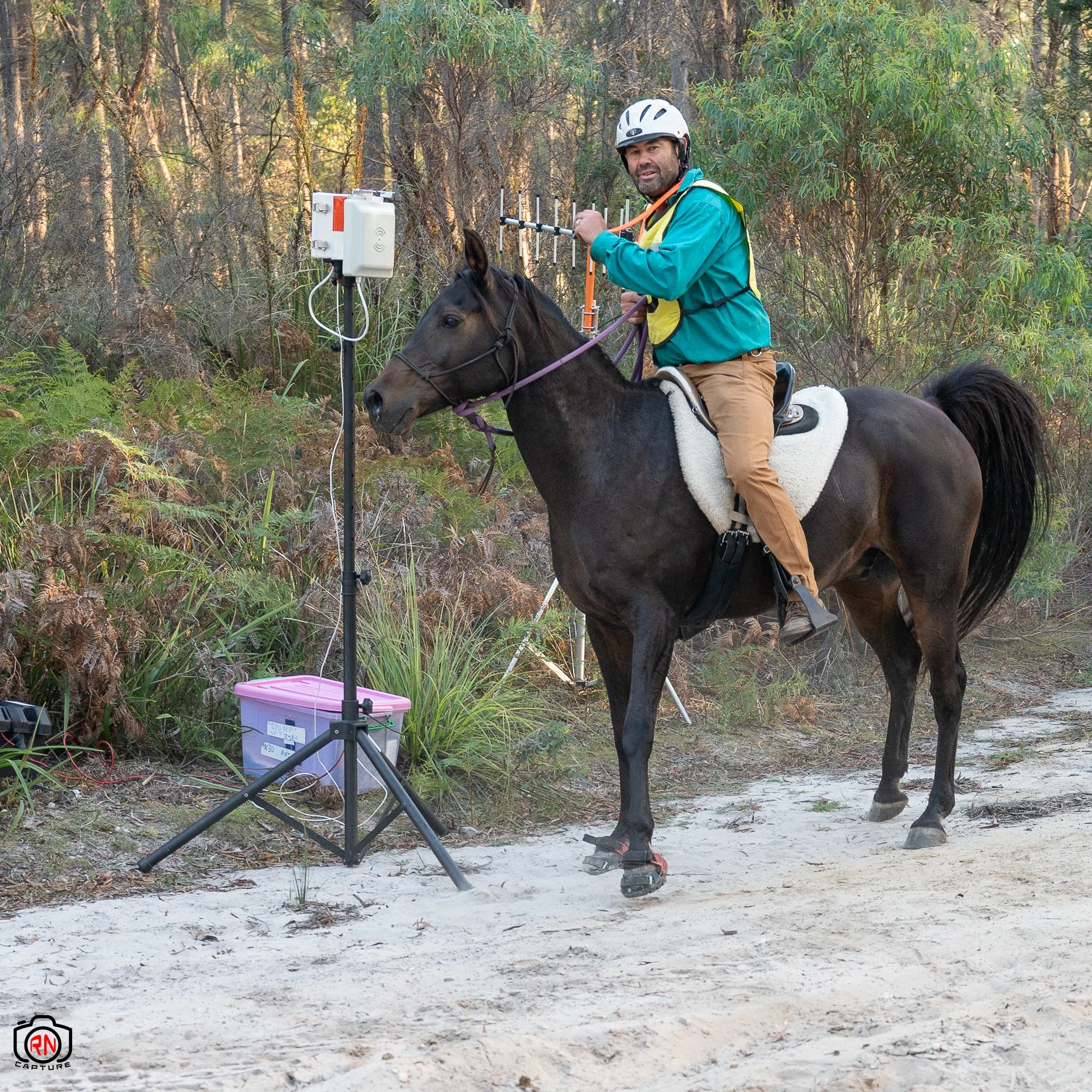 Wattlewood Park Endurance Ride — NTARC Inc.