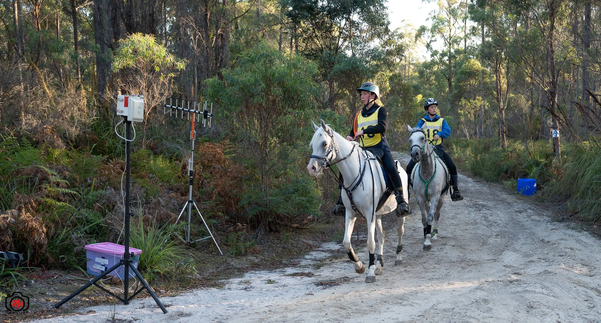 Wattlewood Park Endurance Ride — NTARC Inc.